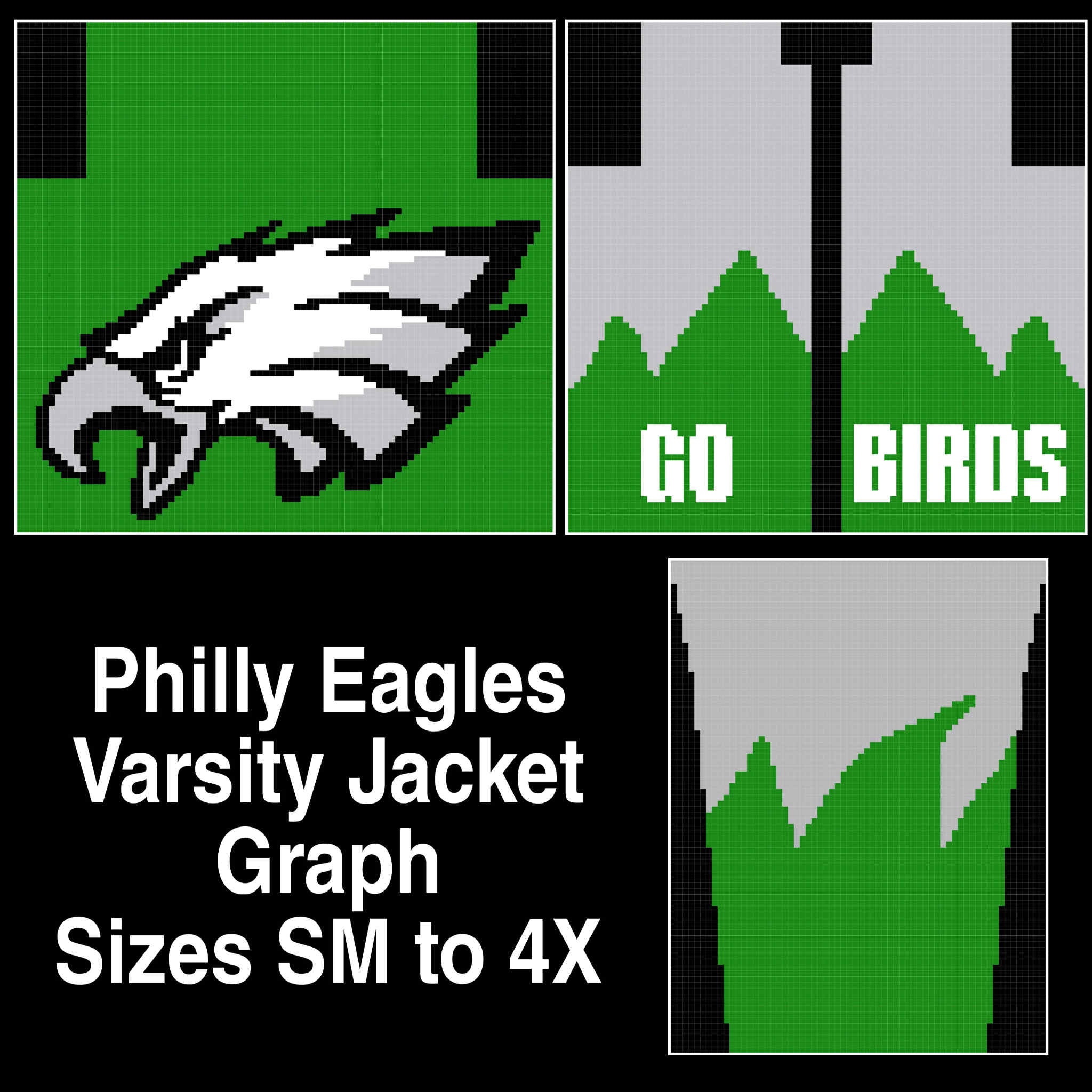 Philly Eagles Varsity/Cardigan Graph – Creative Stitch N Diva